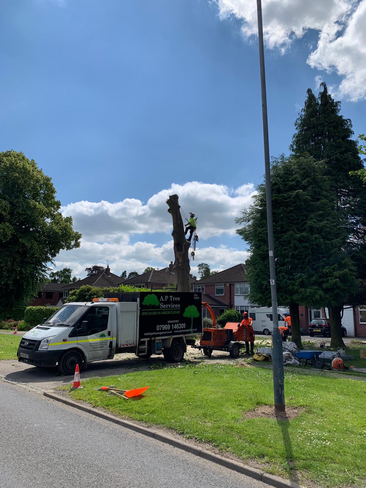 Commercial Tree Services - Site Clearance Contractors | AP Tree Services